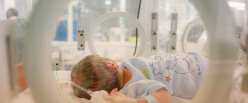 Estudio liderado por nuestra Universidad revela cómo la Operación Orión ...