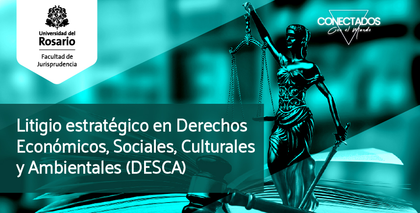 Litigio estratégico en derechos económicos, sociales, culturales y ...
