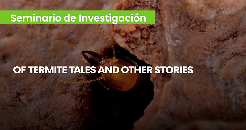 Of termite tales and other stories | Universidad del Rosario